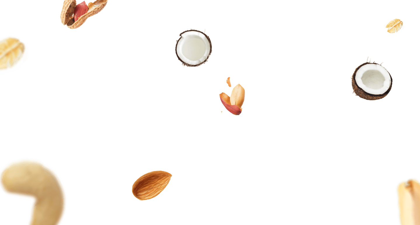 Wild Snacks Pakistan | Wholesome Granola Bars